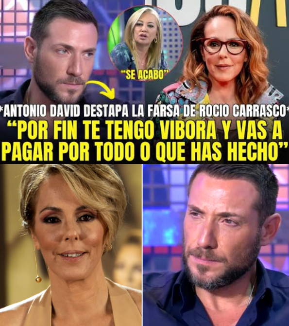 ¿La Caída Definitiva de Rocío Carrasco? Las Declaraciones Que Cambian ...